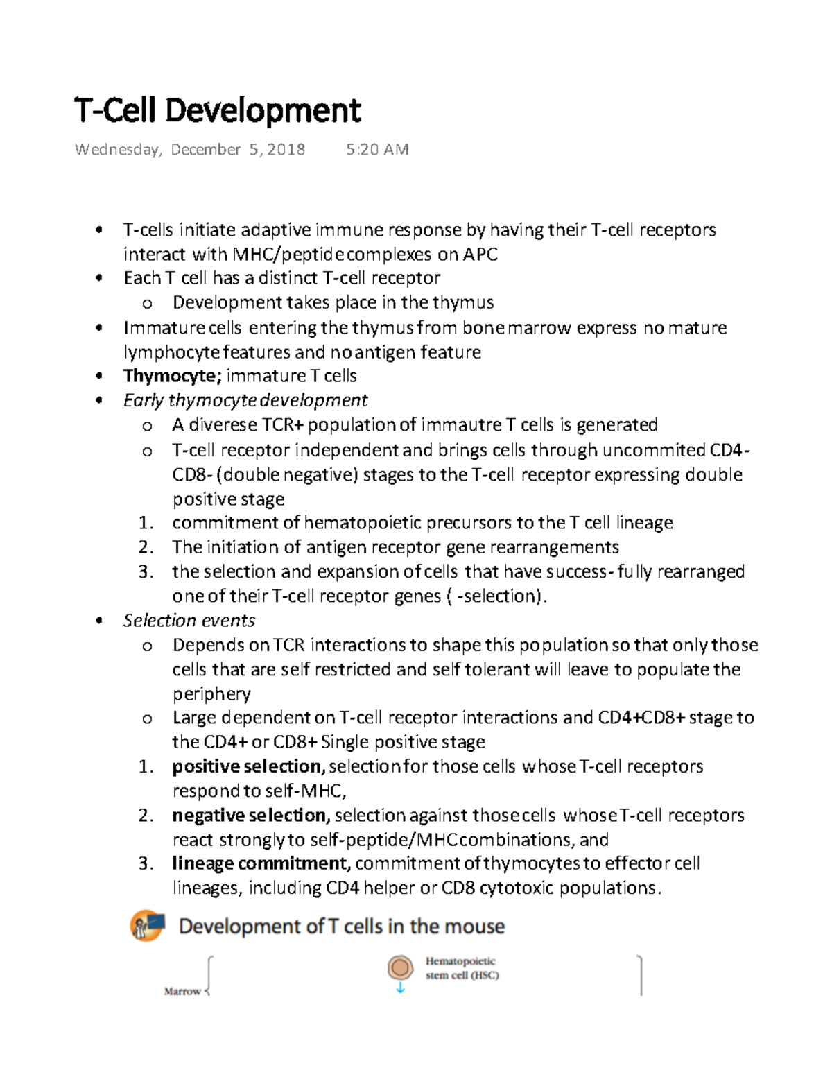 T-Cell Development - Development Wednesday, December 5, 2018 5:20 AM ...
