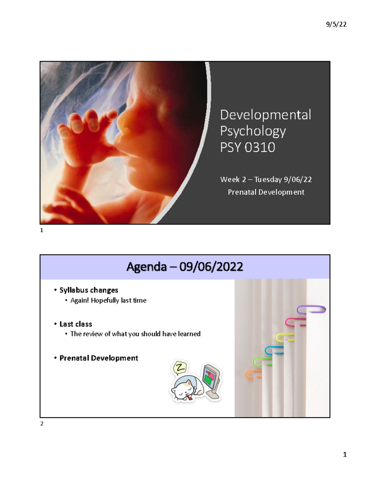 Kami Export - W2 C1 Prenatal PDF - Developmental Psychology PSY 0310 ...