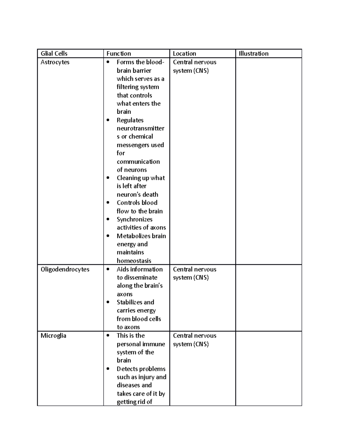 Glial Cells table - Glial Cells Function Location Illustration ...