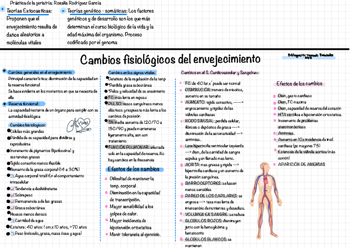 Cambios fisiológicos del envejecimiento - Teorías Estocasticas: Proponen que el envejecimiento ...
