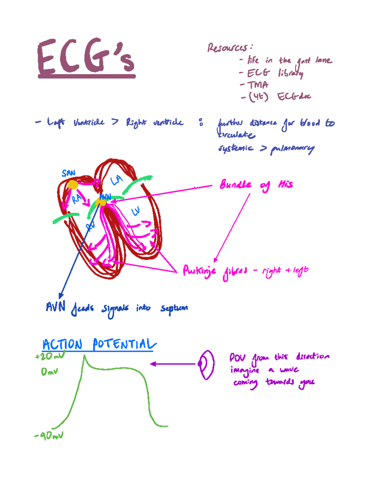 ECG summary - Brief understanding of an ECG - E G's Resources life in ...