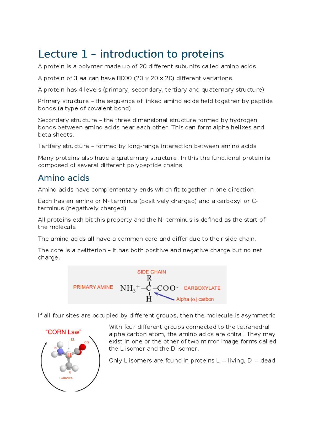 Lecture 1 Introduction To Proteins Lecture 1 Introduction To Proteins A Protein Is A