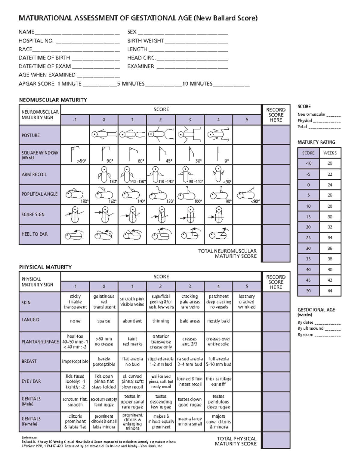 Printable Apgar Score Chart