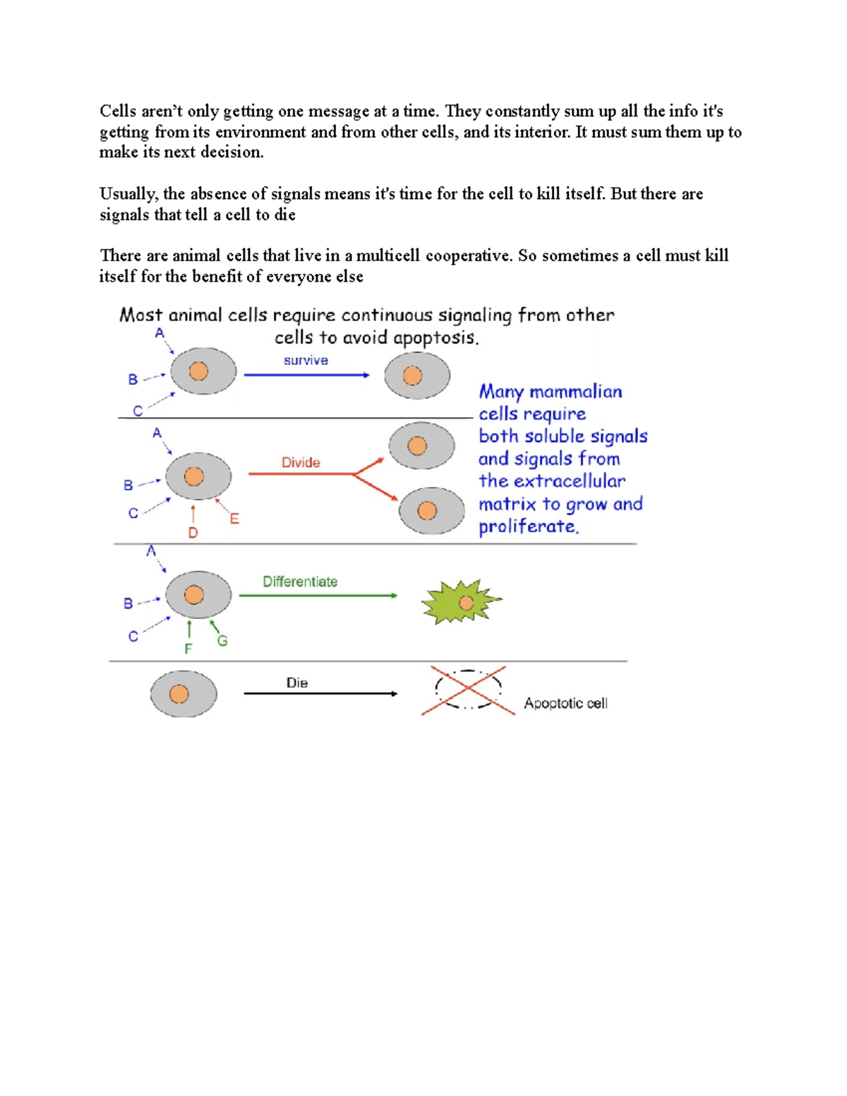 Chapter 11 - Cell Communication - Cells aren’t only getting one message ...