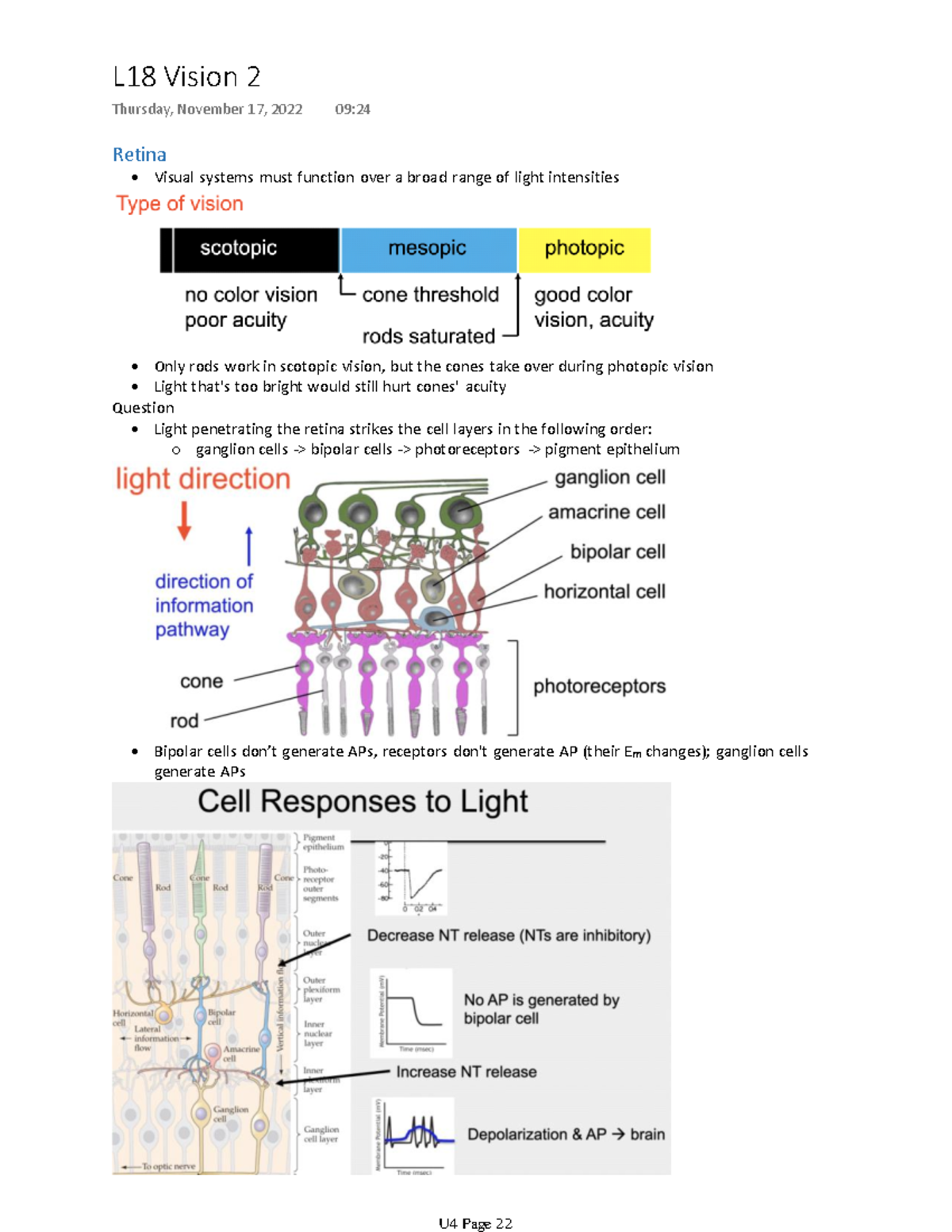 Lecture 18 Vision, continued - Retina Visual systems must function over ...
