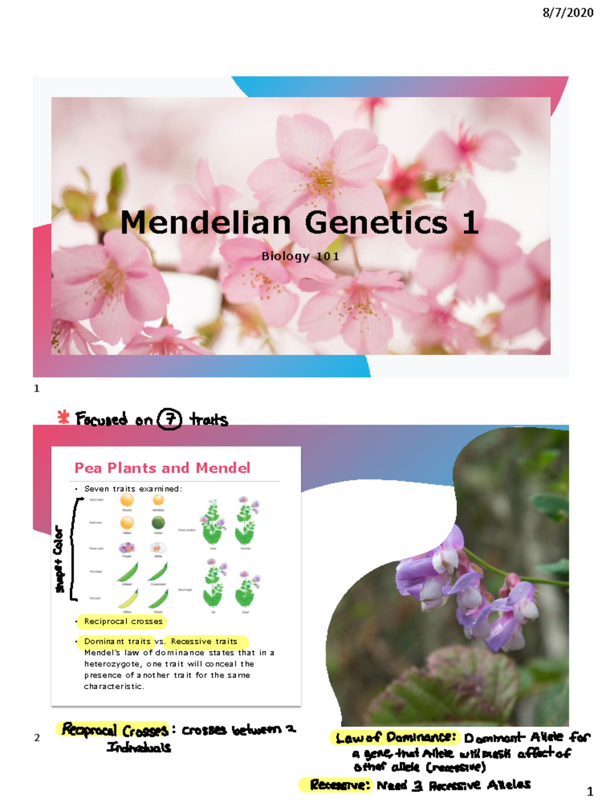 Chapter 8 Inheritance M3 - Mendelian Genetics 1 Biology 101 Seven ...