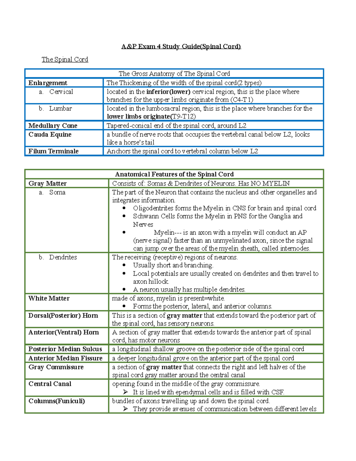 Anatomy and Physiology I Exam 4 Spinal Cord - A&P Exam 4 Study Guide ...