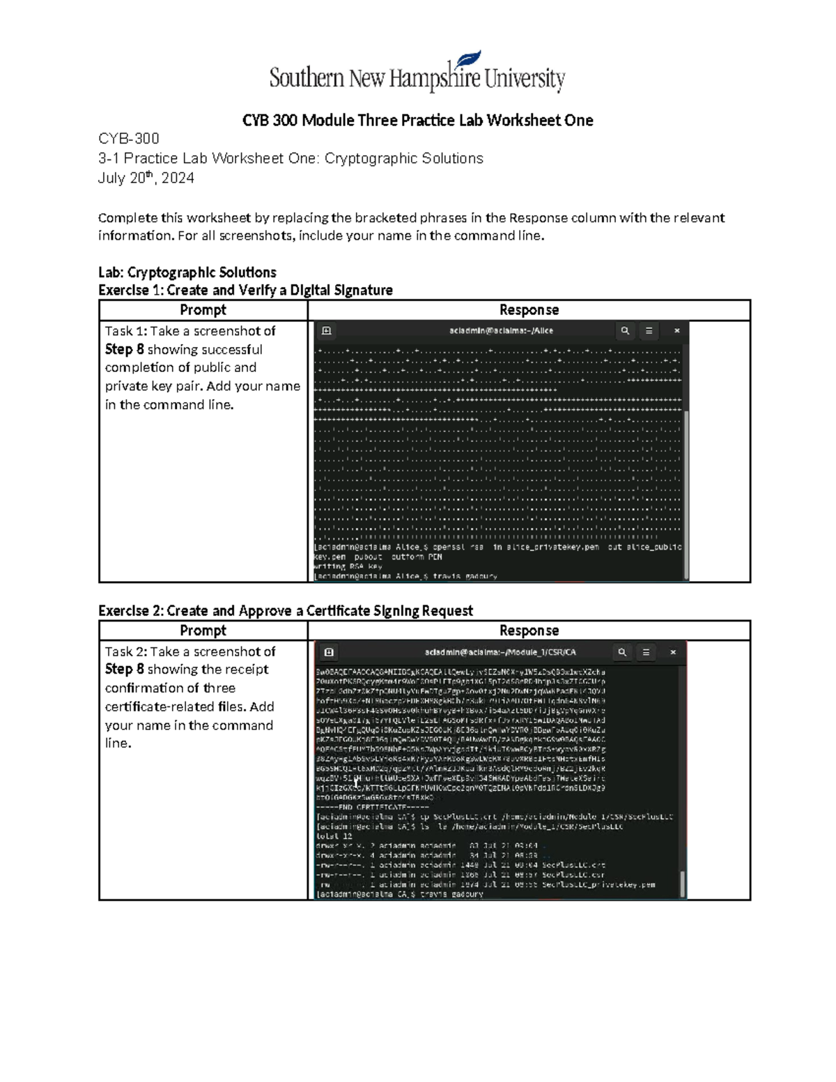 CYB 300 3-1 Practice Lab - CYB 300 Module Three Practice Lab Worksheet One CYB- 3-1 Practice Lab ...