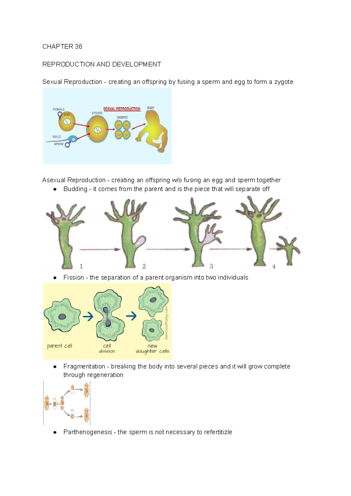 Biology 191 Exam 4 - CHAPTER 36 REPRODUCTION AND DEVELOPMENT Sexual ...
