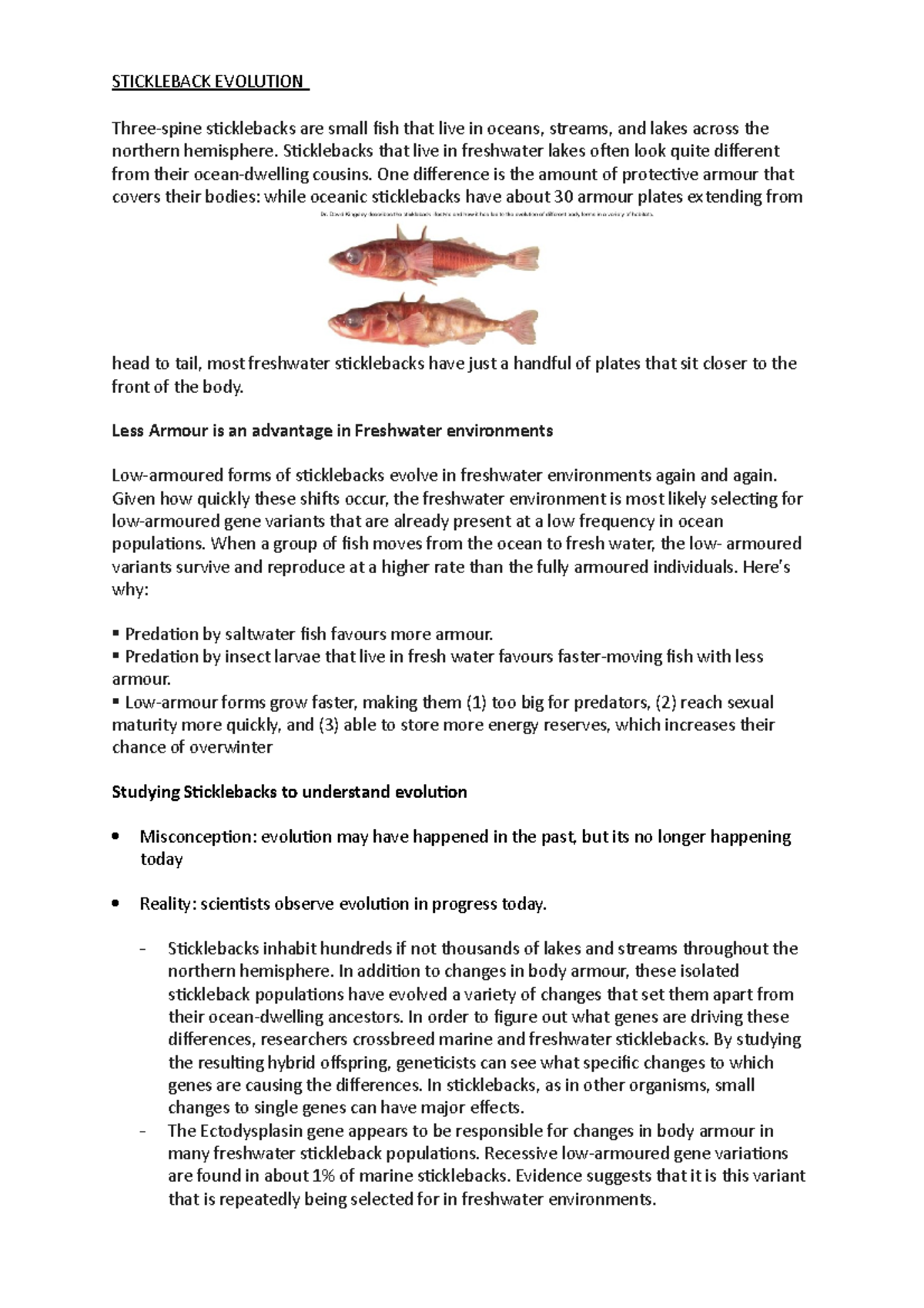 Stickleback evolution - STICKLEBACK EVOLUTION Three-spine sticklebacks ...