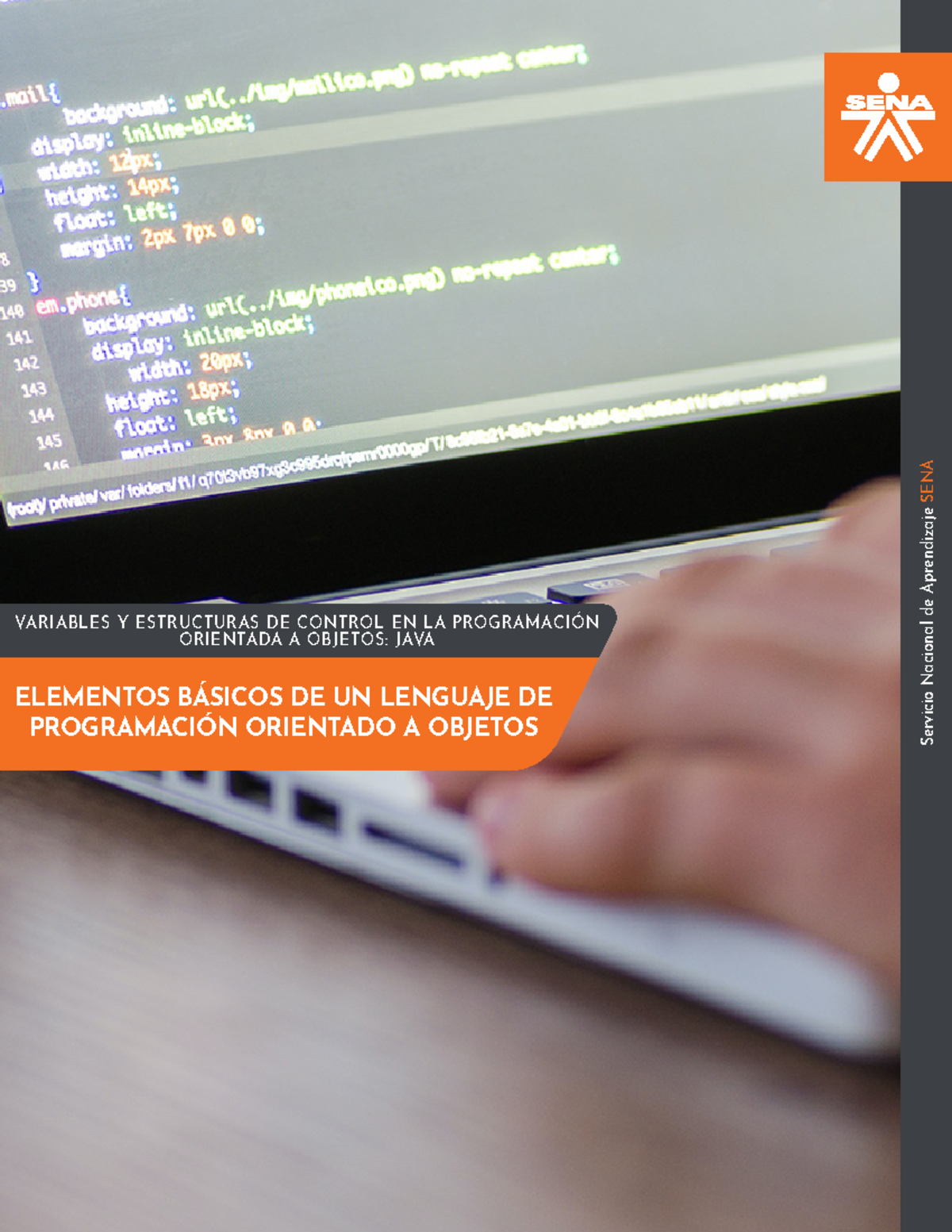 MF1 Elementos Basicos de un lenguaje de programacion orientado a objetos - VARIABLES Y ...