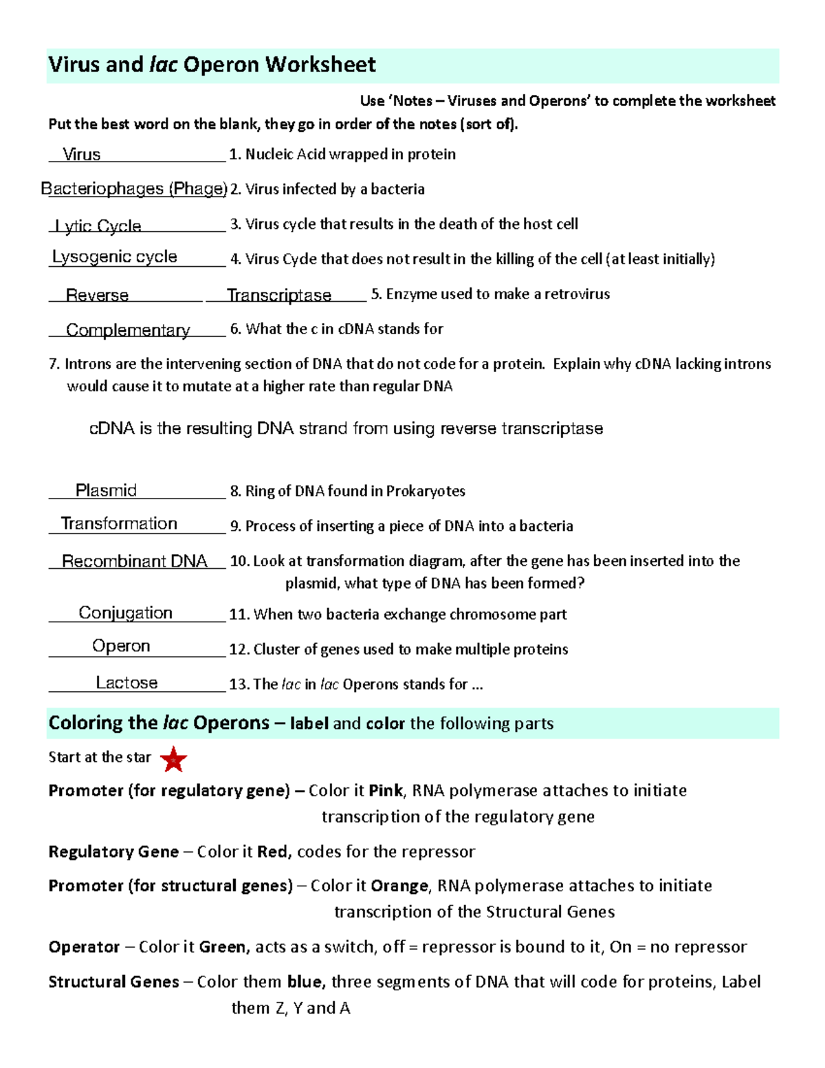 Virus and Operon Worksheet - Virus and lac Operon Worksheet Use ‘Notes ...