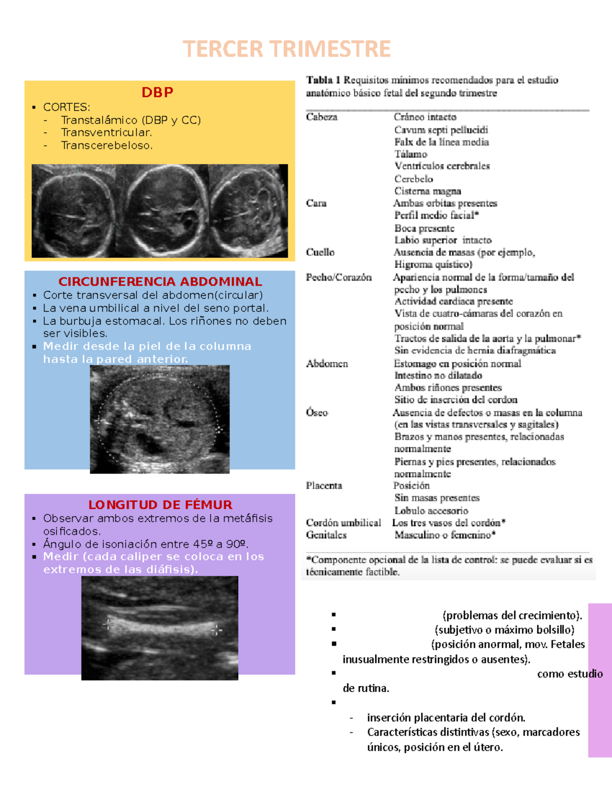 Tercer Trimestre Isuog - TERCER TRIMESTRE DBP CORTES: - Transtalámico ...