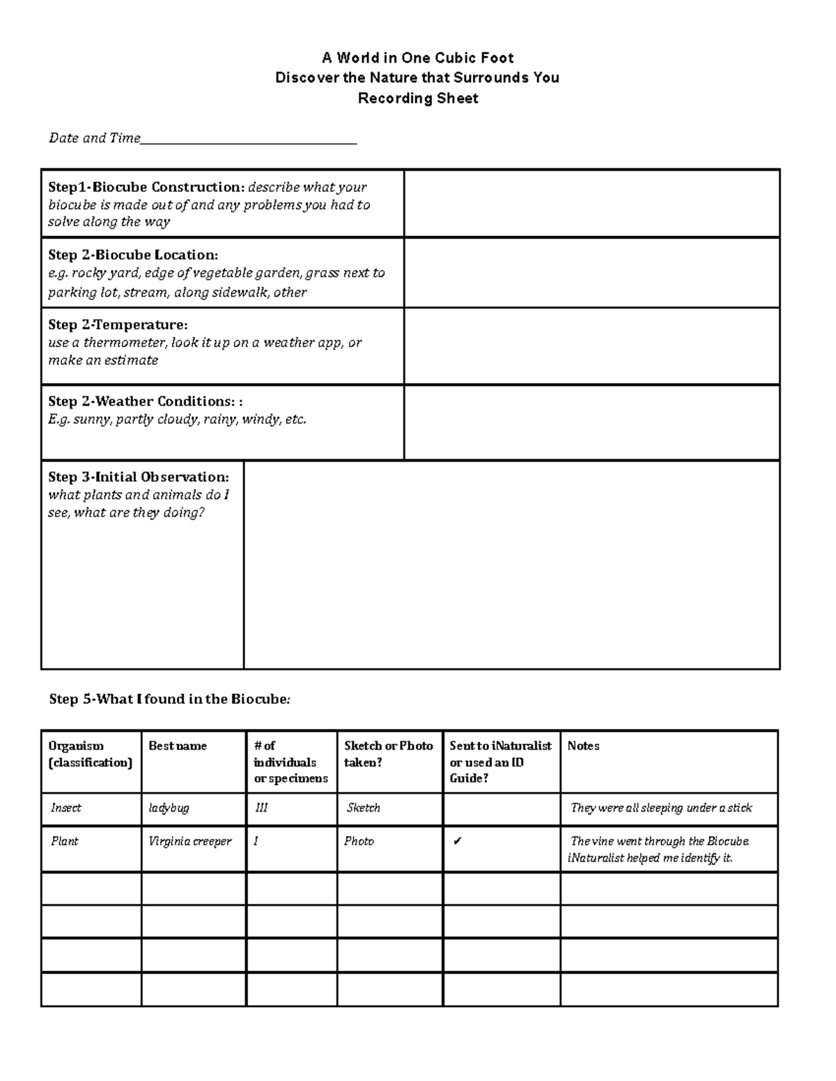 Biocube-recording-sheet-v2 2 - A World in One Cubic Foot Discover the ...