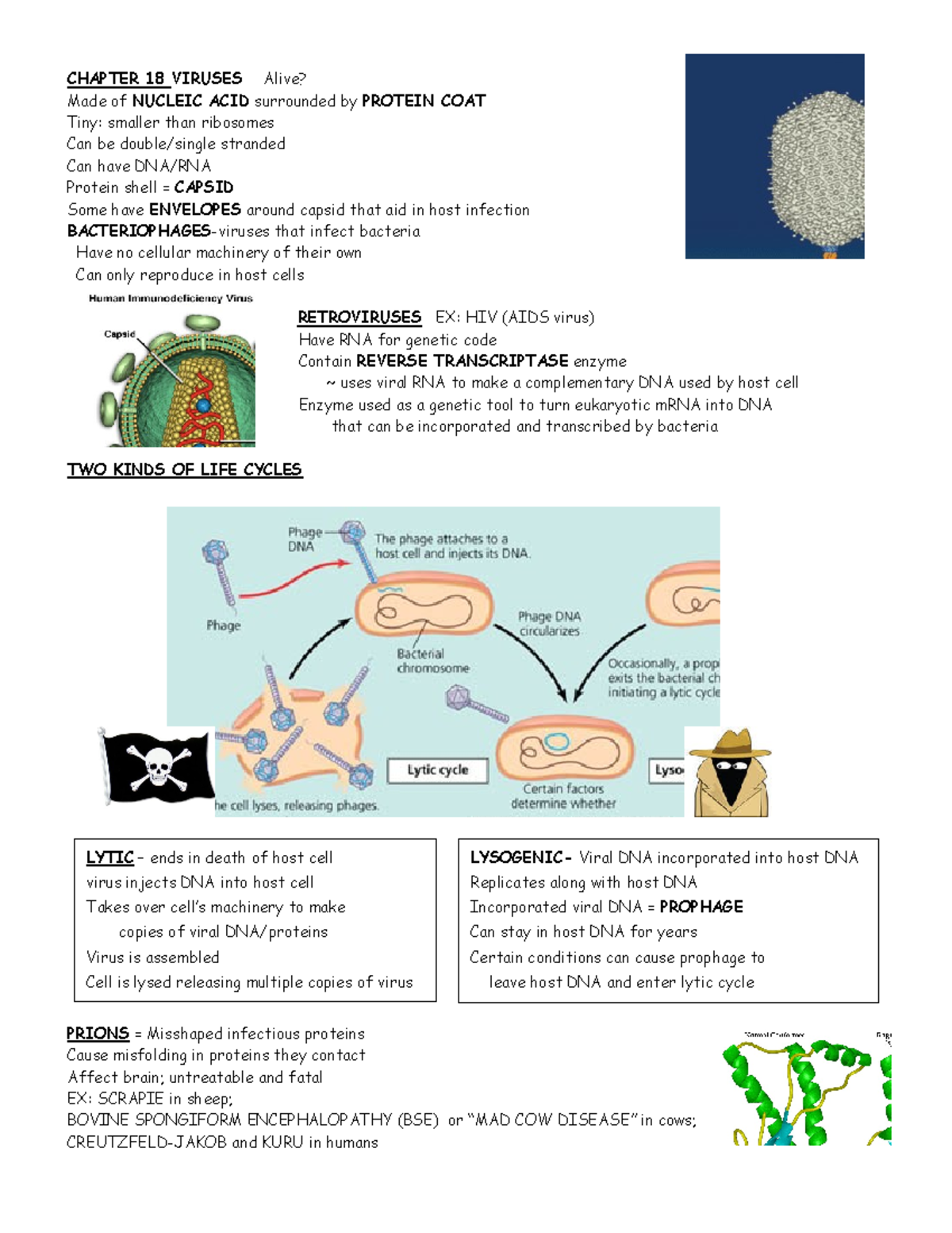 All Virus Notes - CHAPTER 18 VIRUSES Alive? Made of NUCLEIC ACID ...