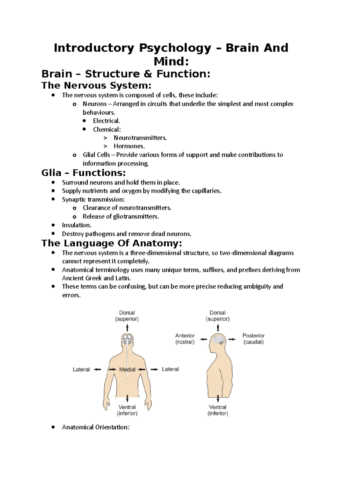 Introductory Psychology - Brain And Mind - Introductory Psychology – Brain And Mind: Brain ...