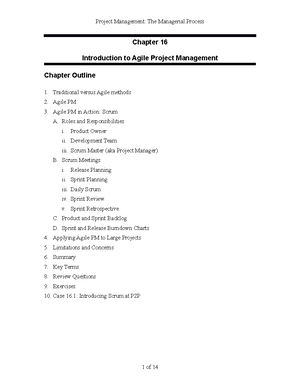 Project Management The Managerial Process Chap 10 Solution Manual - Chapter 10 Being an ...