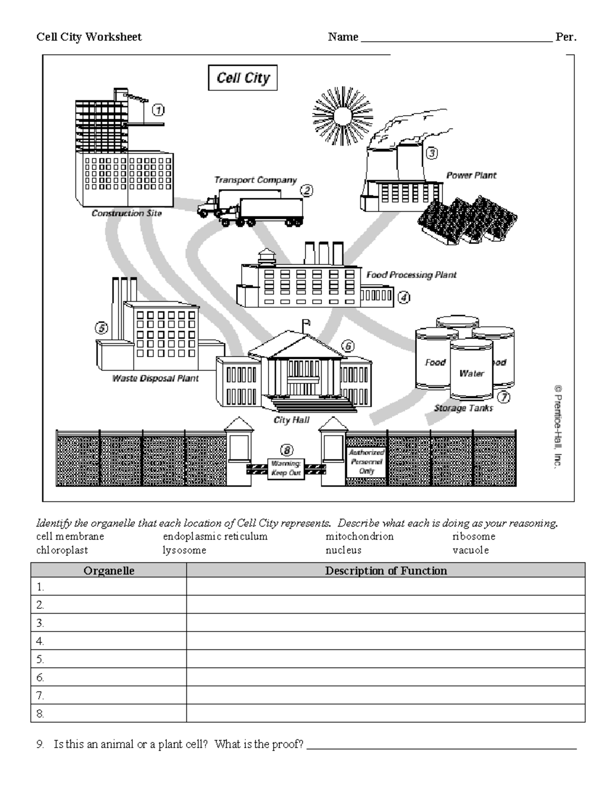Cell City WS - Organelle Functions and Identifications - Cell City ...