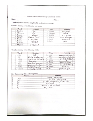 Medical Terminology Worksheet Respiratory - BIO 201 Module 7 ...