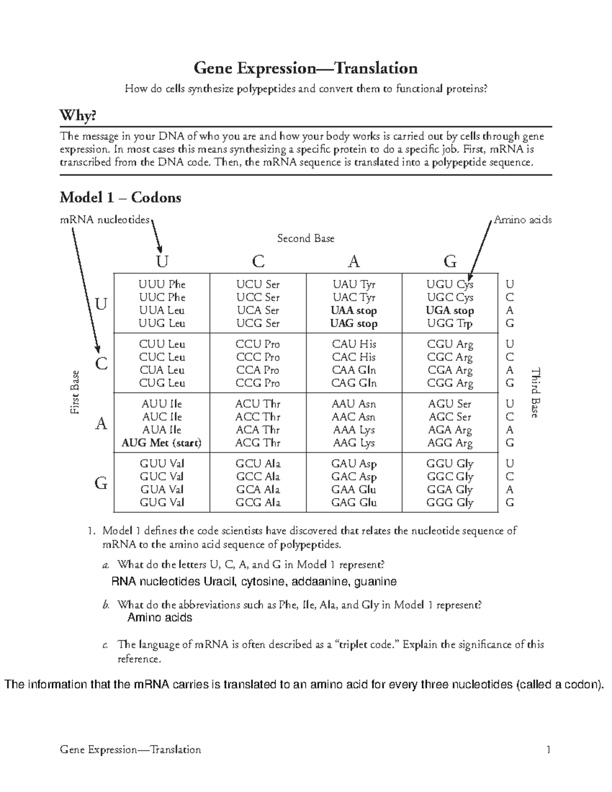 15 Gene Expression Translation - Gene Expression—Translation 1 Gene ...