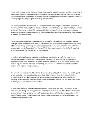 How women give birth - notes - Women give birth through a process ...