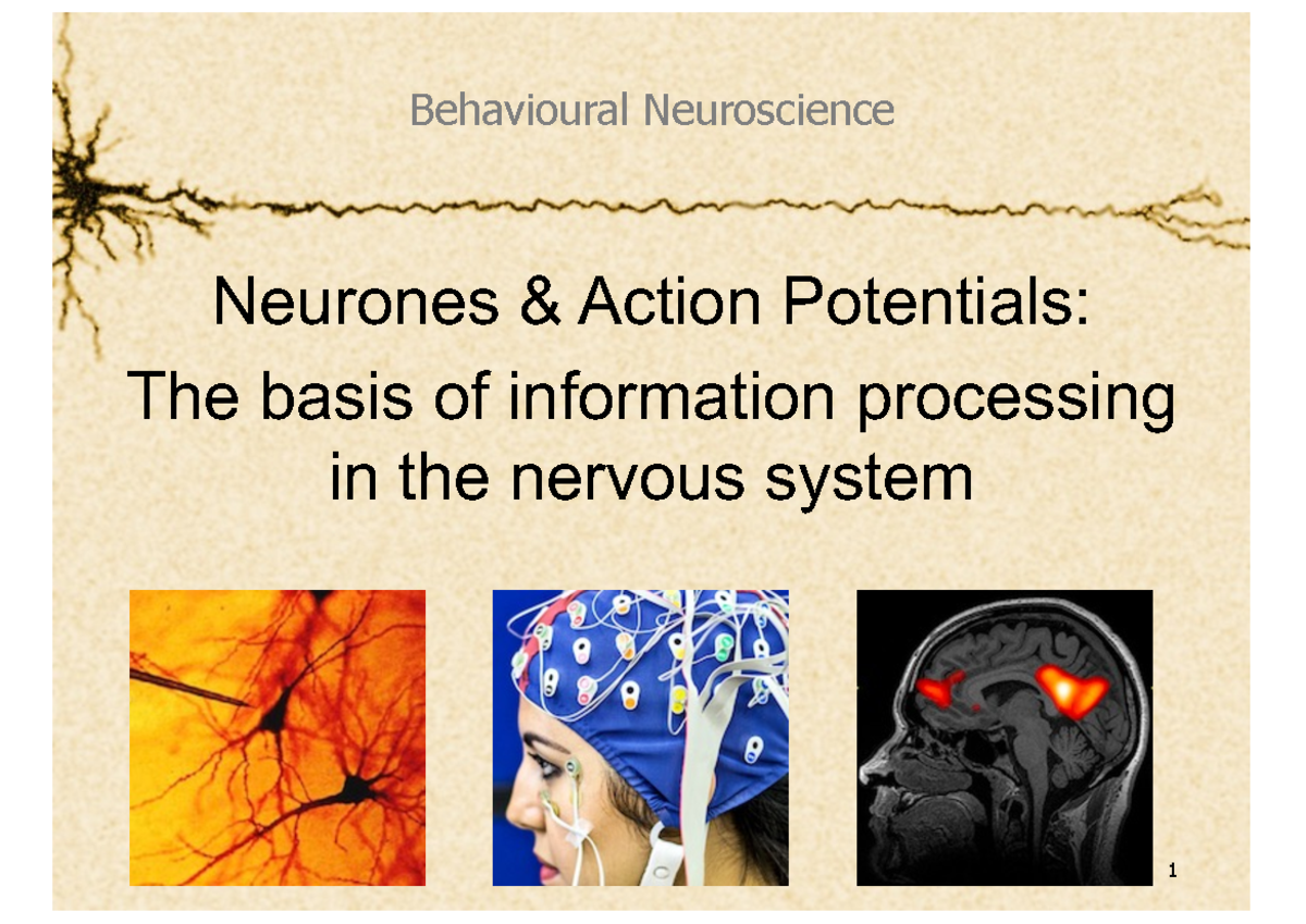 PSYC10003 Carter Lecture 2 All Slides - Behavioural Neuroscience Neurones & Action Potentials ...