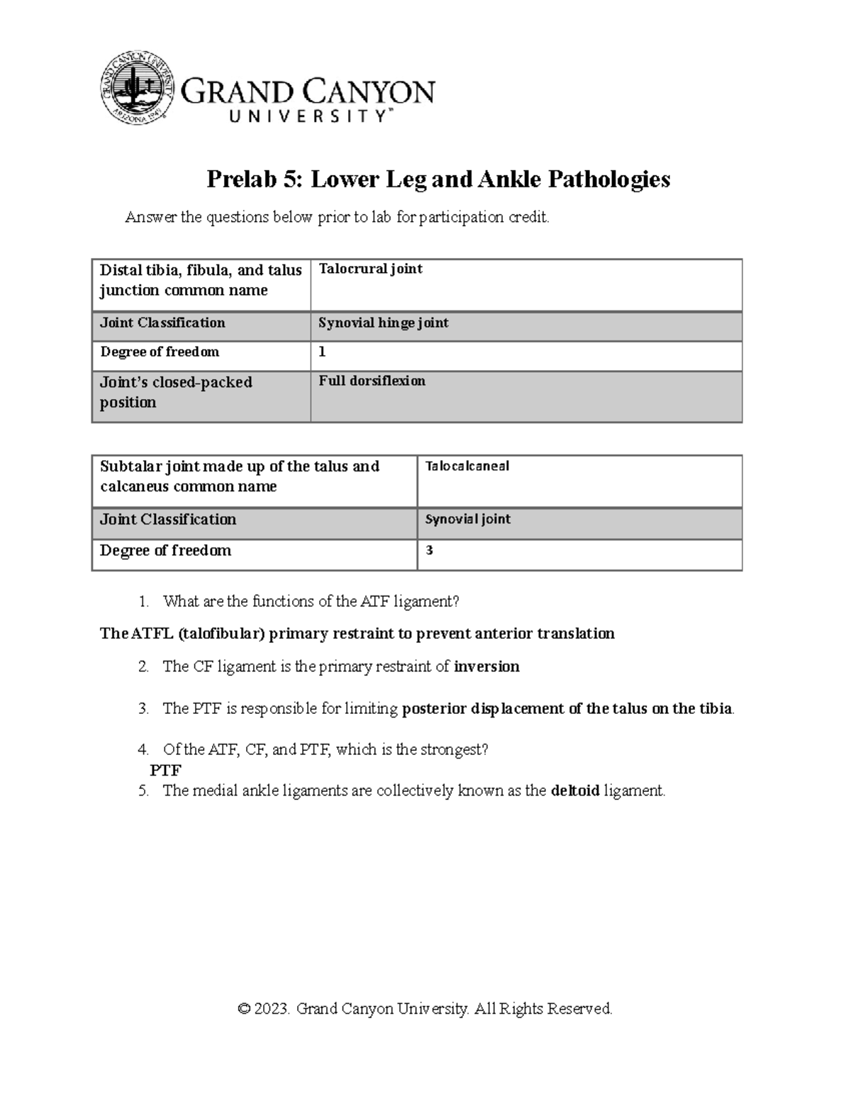 Prelab 5- Lower LEG AND Ankle Pathologies - Prelab 5: Lower Leg and ...