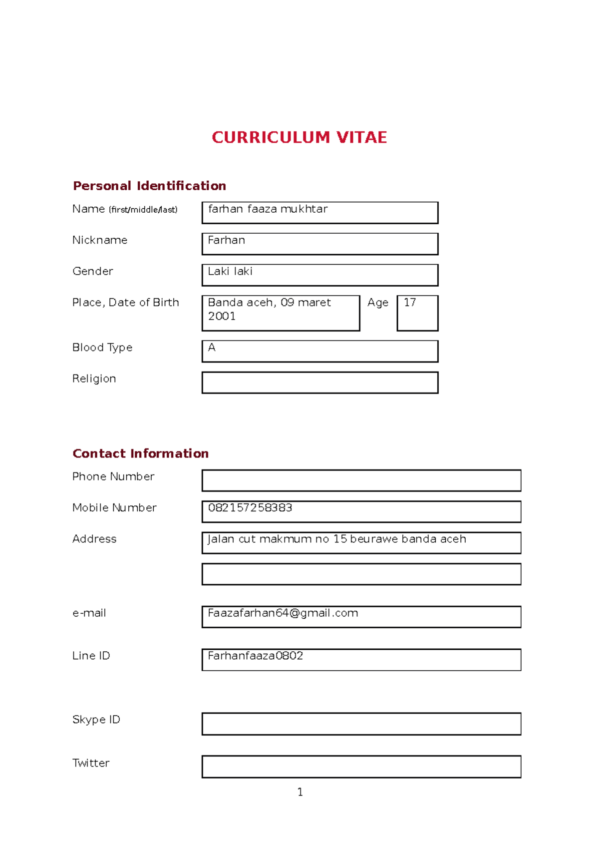 Contoh Curriculum Vitae - CURRICULUM VITAE Personal Identification Name ...