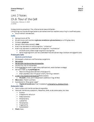 Lab activity 6 - FGCU - NAME: DATE: TABLE LAB ACTIVITY 6 Review ...