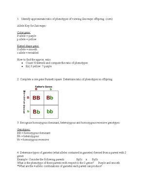 Genetics Lab Practical 1 Study Guide - Drosophila melanogaster: Fruit ...