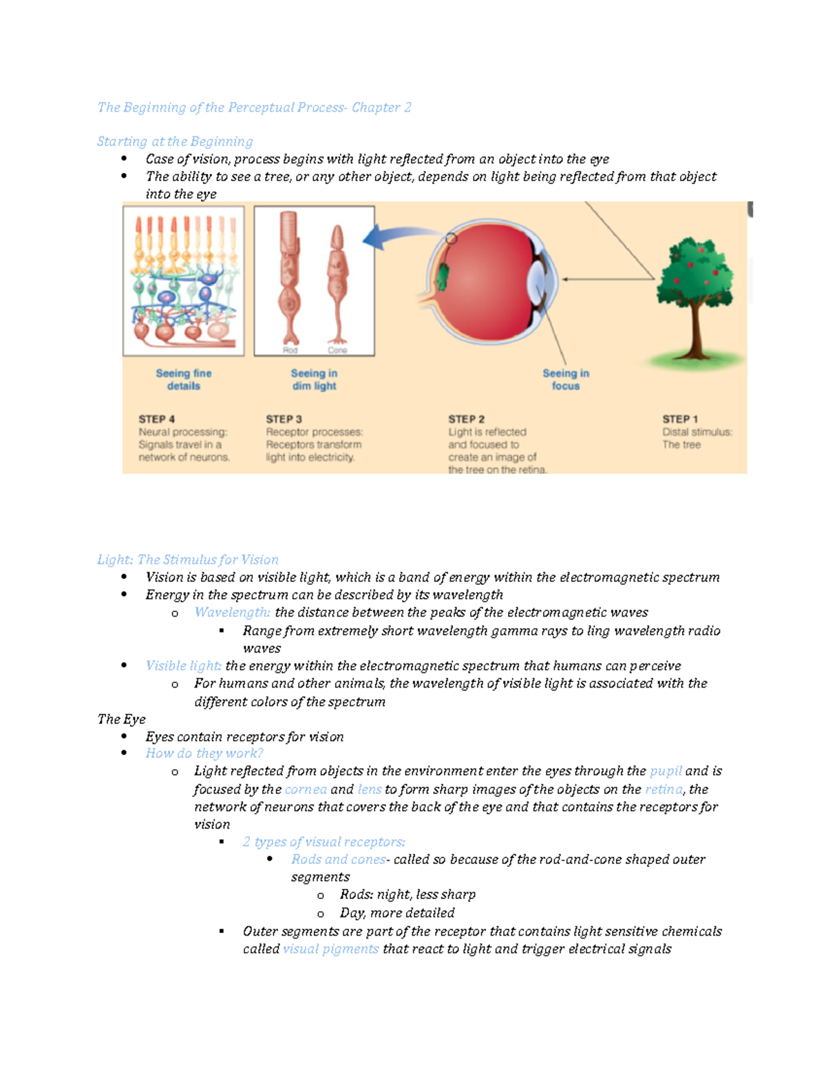 Sensation and perception- Chapter 2 - The Beginning of the Perceptual ...