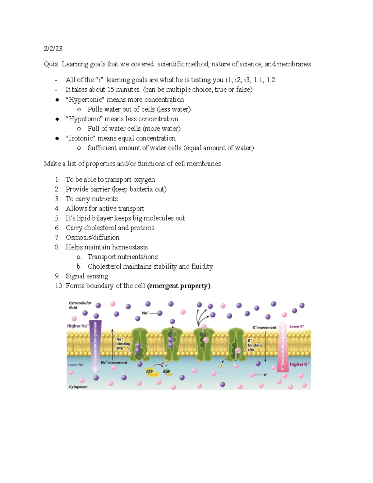 Unit 1 biology notes pt - Cumulative overview of unit 1 with group ...