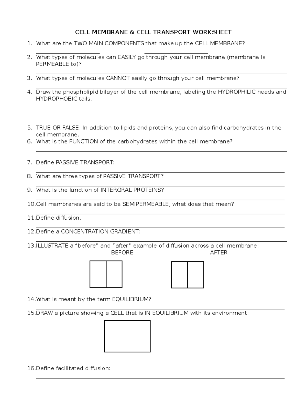 CELL Membrane worksheet - CELL MEMBRANE & CELL TRANSPORT WORKSHEET What ...