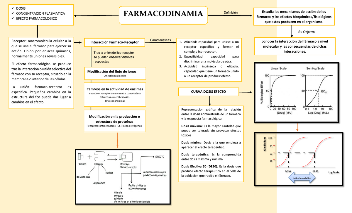 Mapa conceptual de la Farmacodinamia - FARMACODINAMIA Estudia los mecanismos de acción de los ...