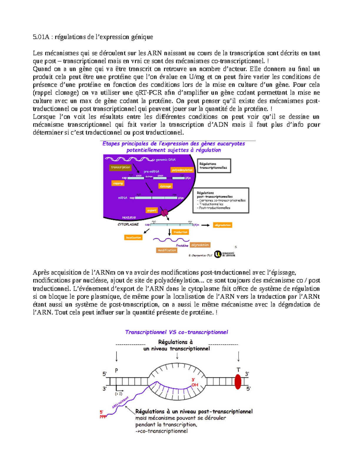 Charpentier 5 - cours de biologie L3 semestre 5 - 5 : régulations de l’expression génique Les ...