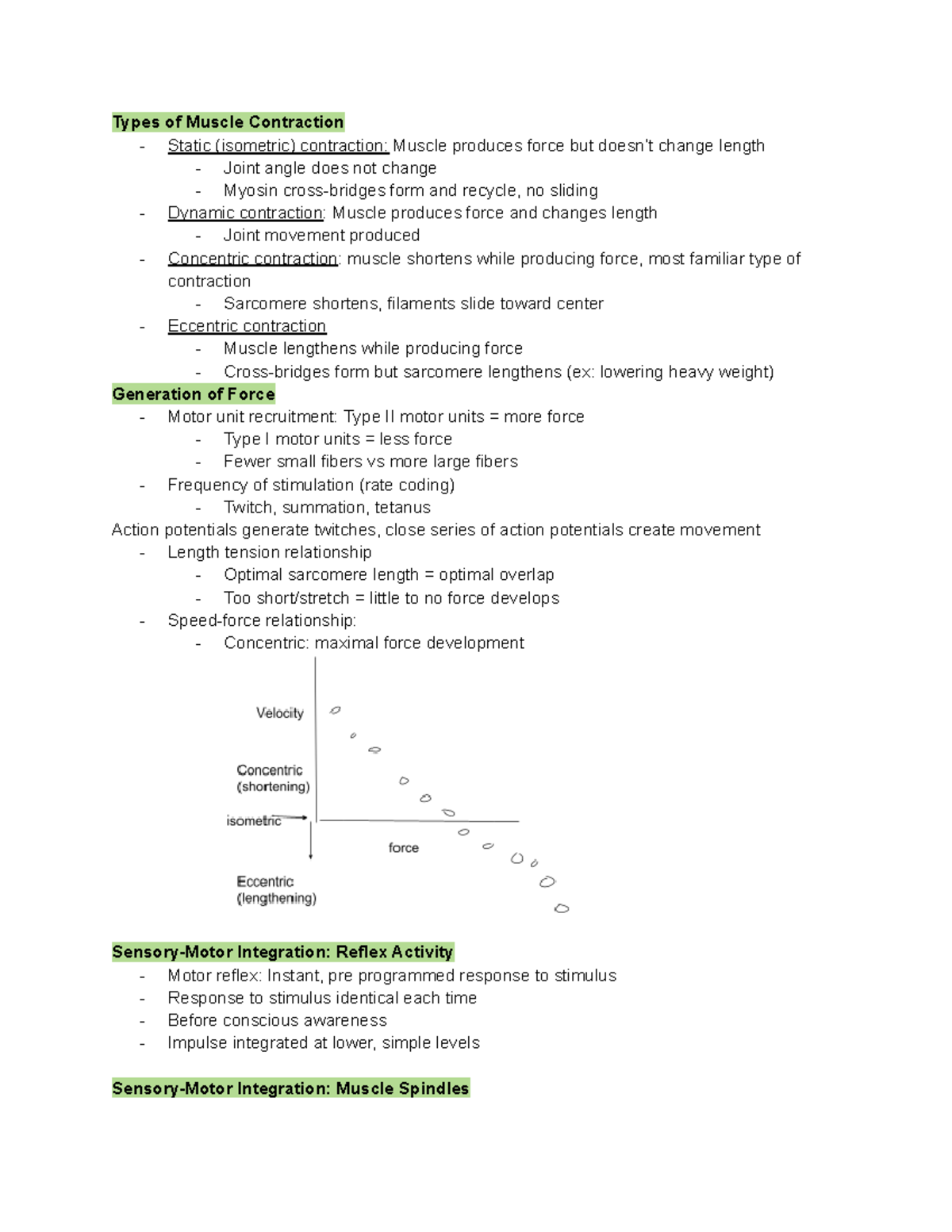 Exercise Physio notes Spring 2022 - Types of Muscle Contraction ...