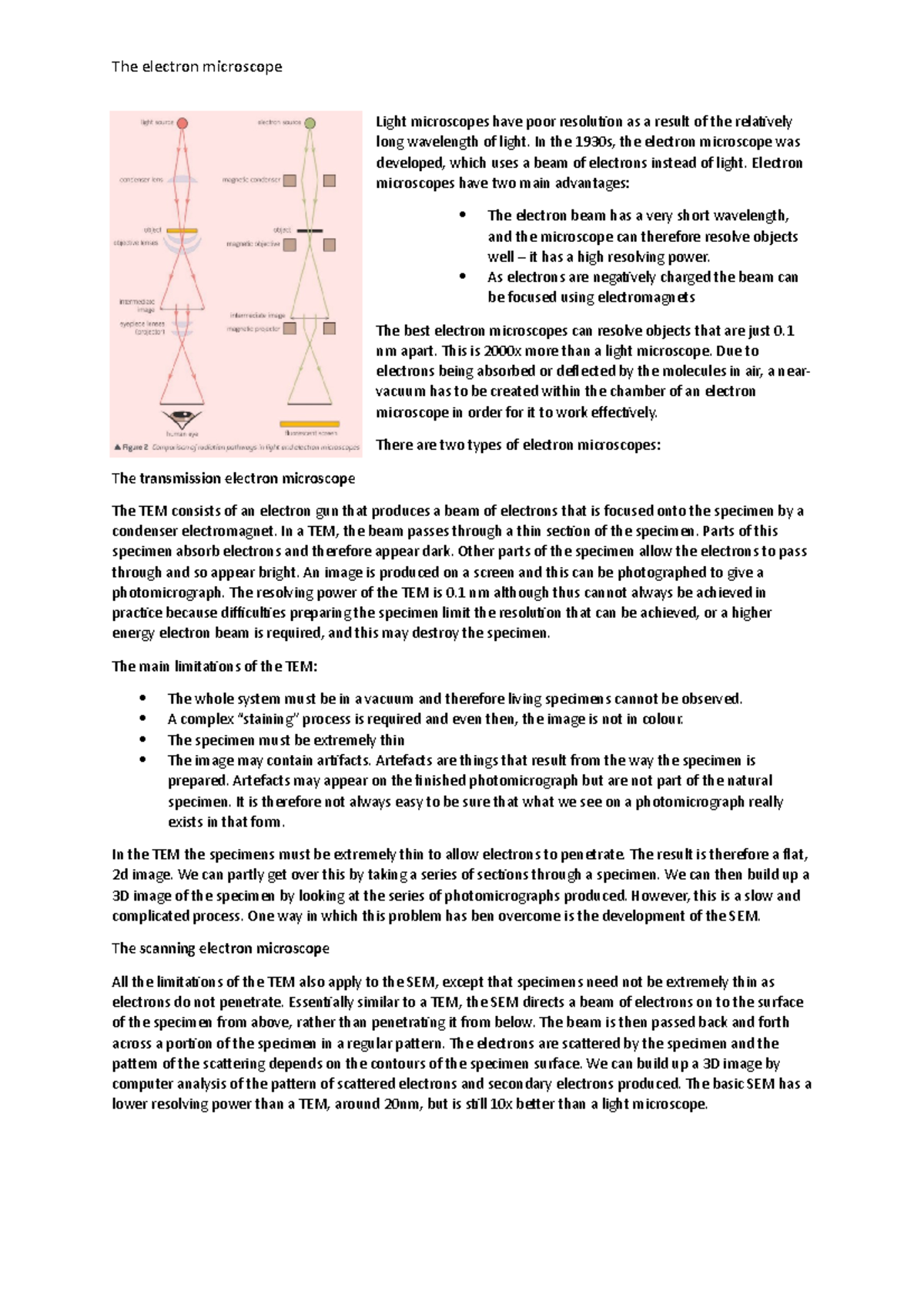 Electron microscopes - The electron microscope Light microscopes have ...