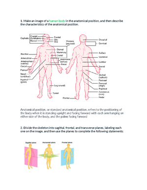 Study guide Human Body Care - This is the branch of science that ...