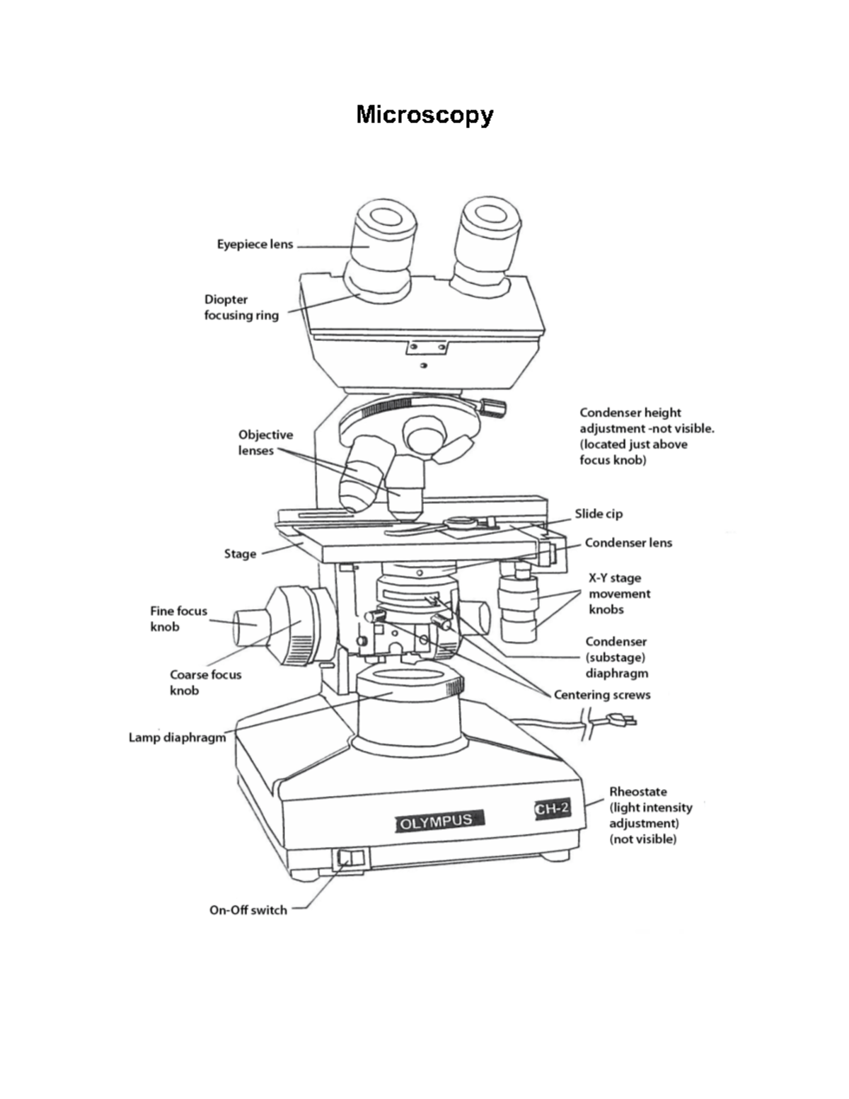 Protocol for Microscopy - Microscopy Microscope Parts Base: Supports ...