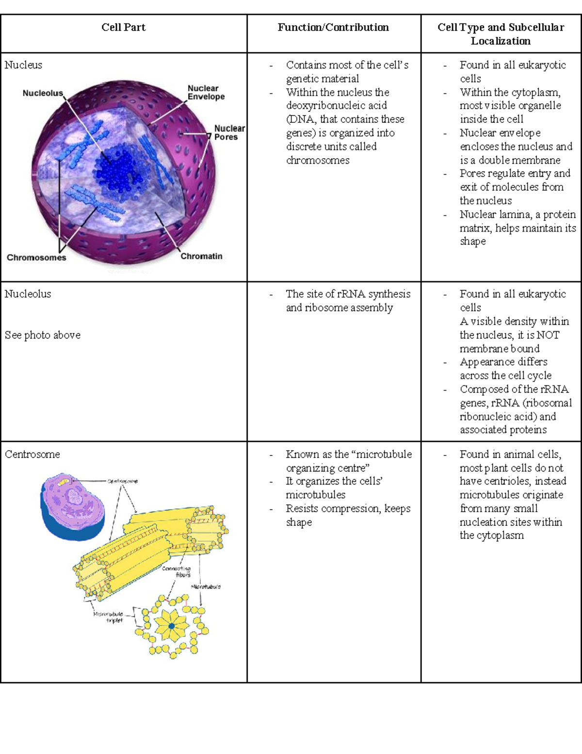 Cell Part Catalogue - Cell Part Function/Contribution Cell Type and ...