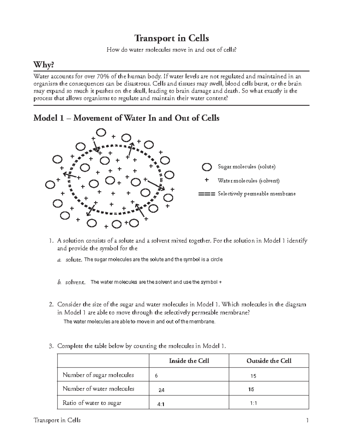 Uchechi+Nwegbo+-+11+Transport+in+Cells-S - Transport in Cells 1 ...