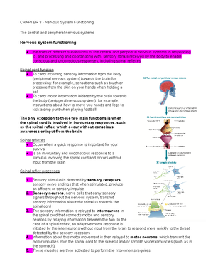Psychology- Unit 3 - Grade: 12 - Victorian Certificate of Education ...