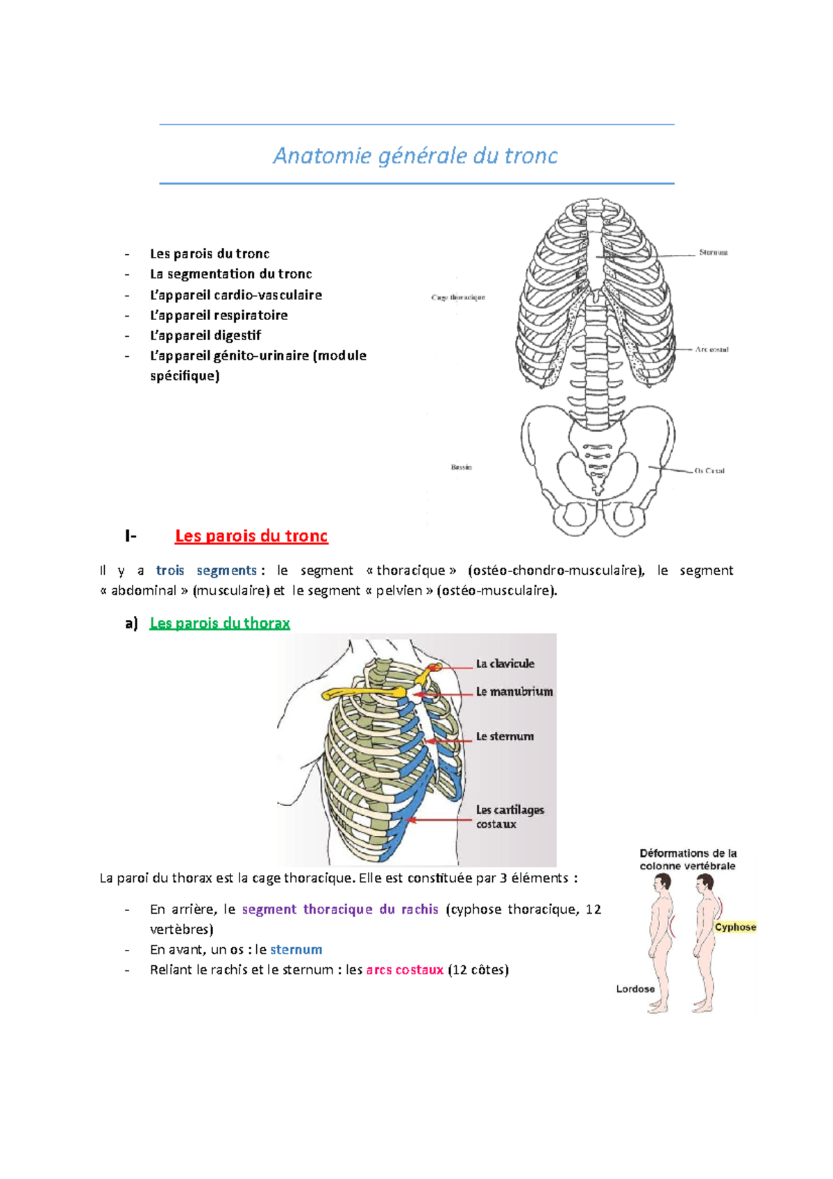 Anatomie générale du tronc - Anatomie générale du tronc Les parois du ...