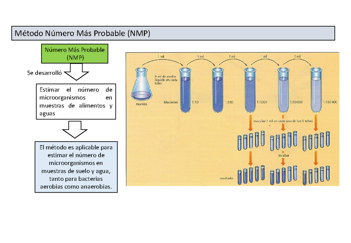 P aula 3 teoria NMP - Temario para comprender las preguntas de examen ...