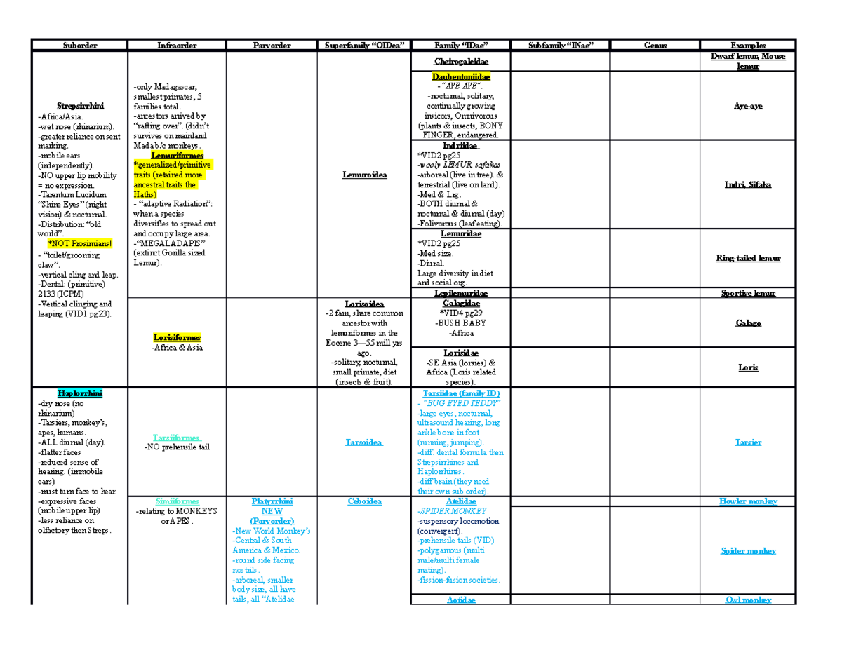 ANTH TAX copy - Lecture notes 1,2,3 - Suborder Infraorder Parvorder ...