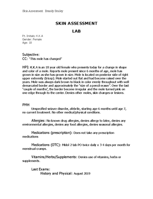 Skin Assessment - Skin assesment - Skin Assessment Skin Assessment Date ...