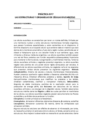 Práctica N8 biologia - practica 7 - PRÁCTICA N° 8 EL ADN Y LA LEYES DE CHARGAFF 1. EXTRACCIÓN DE ...
