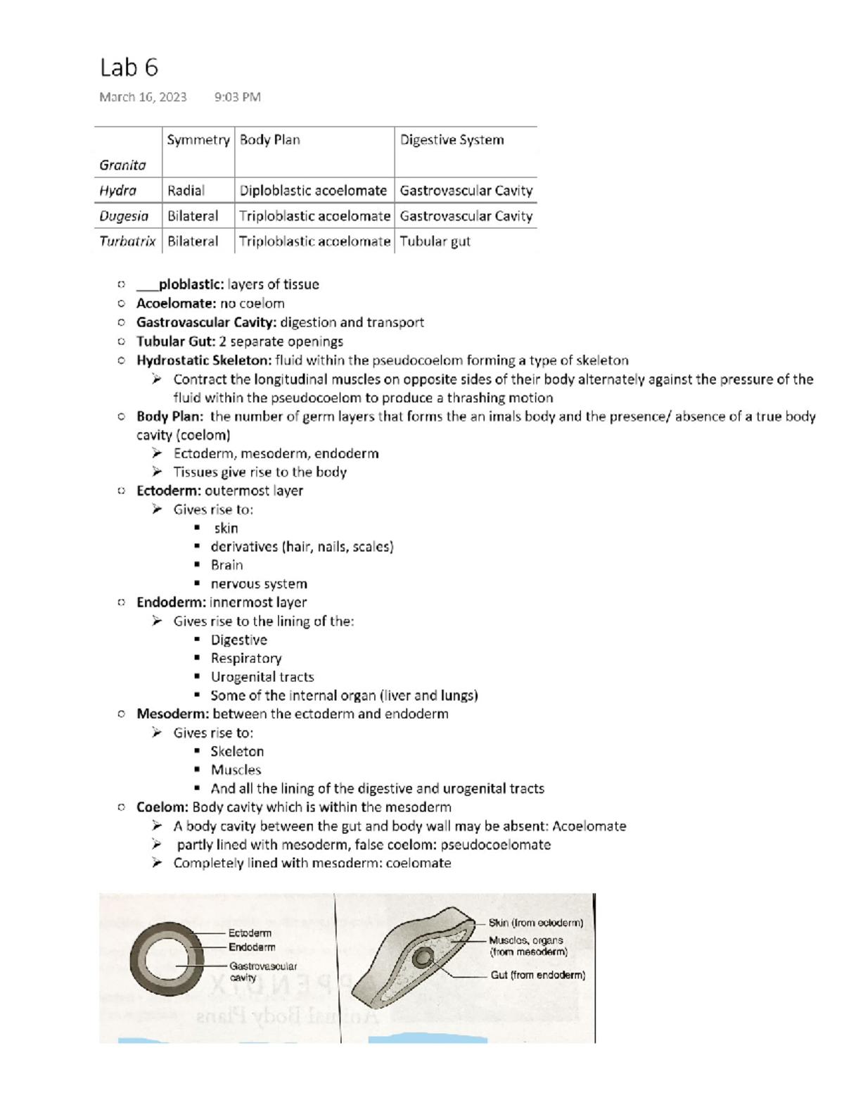 Lab 6 - Lab Notes - Biol 121 - Studocu