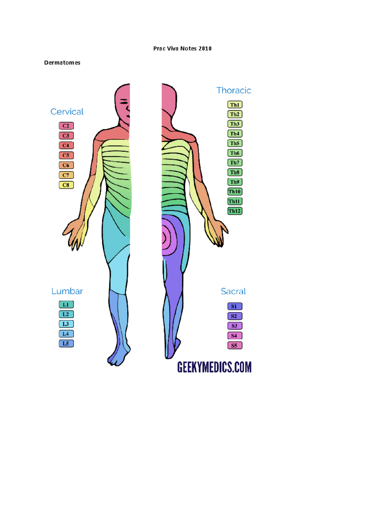 Prac Viva Notes 2010 - Prac Viva Notes 2010 Dermatomes TENS Notes ...
