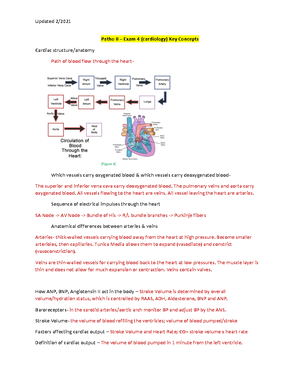 Patho II Week 9 case studies (neuro) - Pathophysiology II - Week 9 Case ...